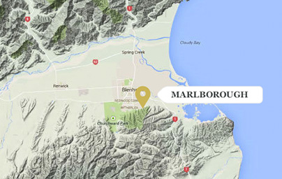 Marlborough Vineyards | Vineyards & Wineries | Babich Wines